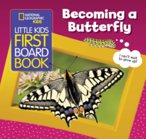 33 Books About Butterflies: Picture Books, Read Aloud, Nonfiction ...