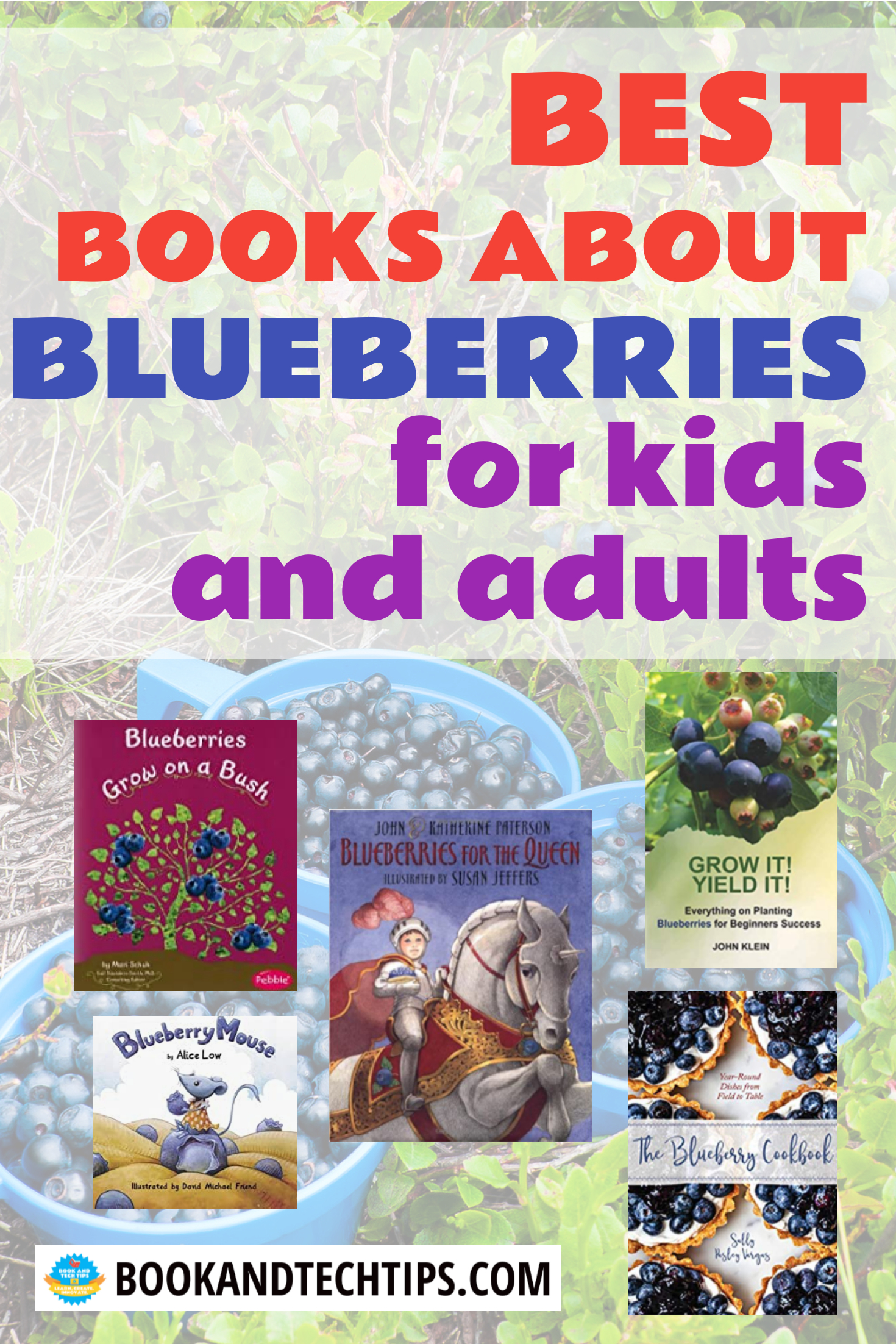 Best Books About Blueberries - Book and Tech Tips