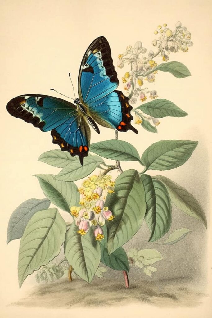 33 Books About Butterflies: Picture Books, Read Aloud, Nonfiction ...