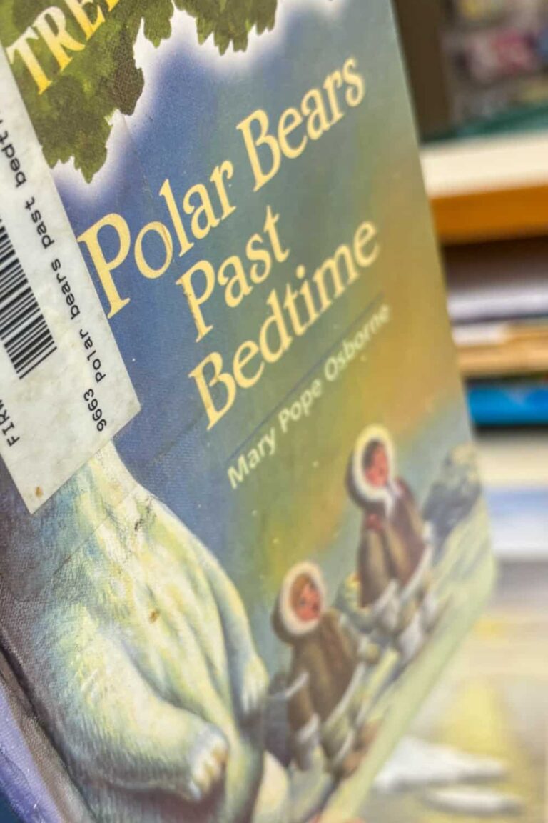 35 Polar Bear Books for Kids and Adults - Book and Tech Tips