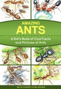 44 Books About Ants for Toddlers, Preschool, Grade School - Book and ...