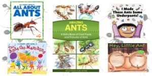 44 Books About Ants for Toddlers, Preschool, Grade School - Book and ...