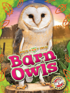 40 Owl Books for Kids in Preschool and Elementary Grades - Book and ...
