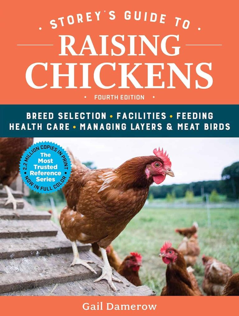 50 Chicken Books for Kids and Adults - Book and Tech Tips