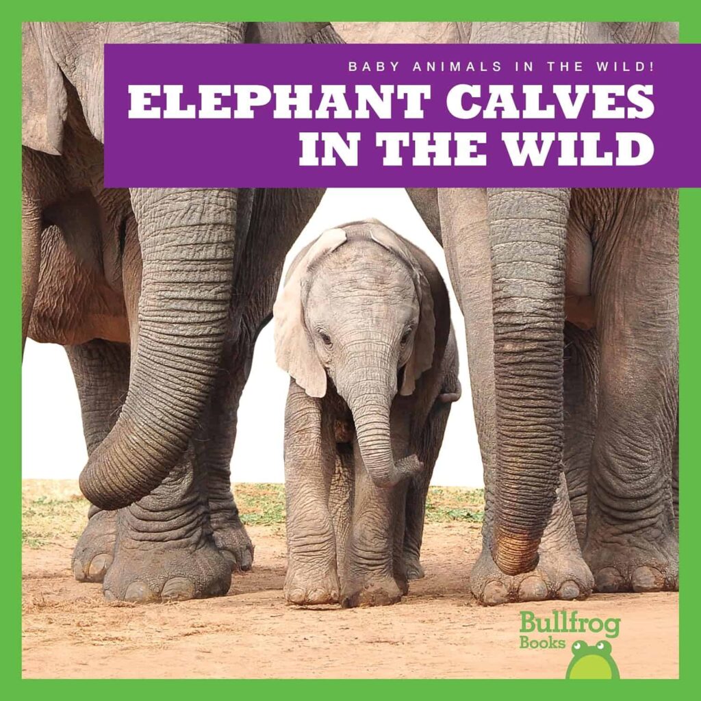 18 Baby Elephant Books for Kids: Engaging and Educational - Book and ...