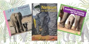 18 Baby Elephant Books for Kids: Engaging and Educational - Book and ...